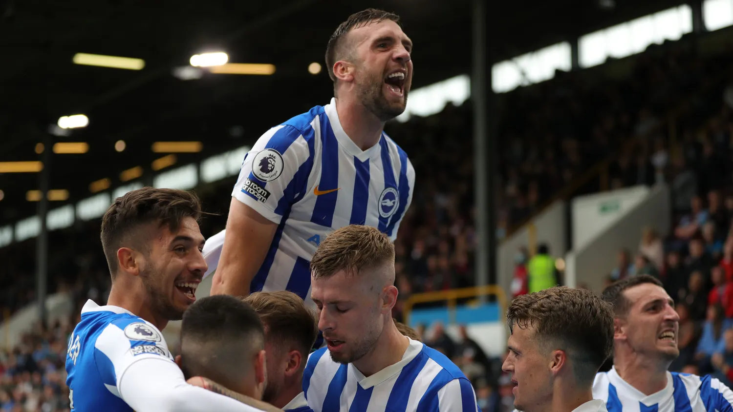 Brighton pressing for player - Potter's team 'may give' club-specific ...